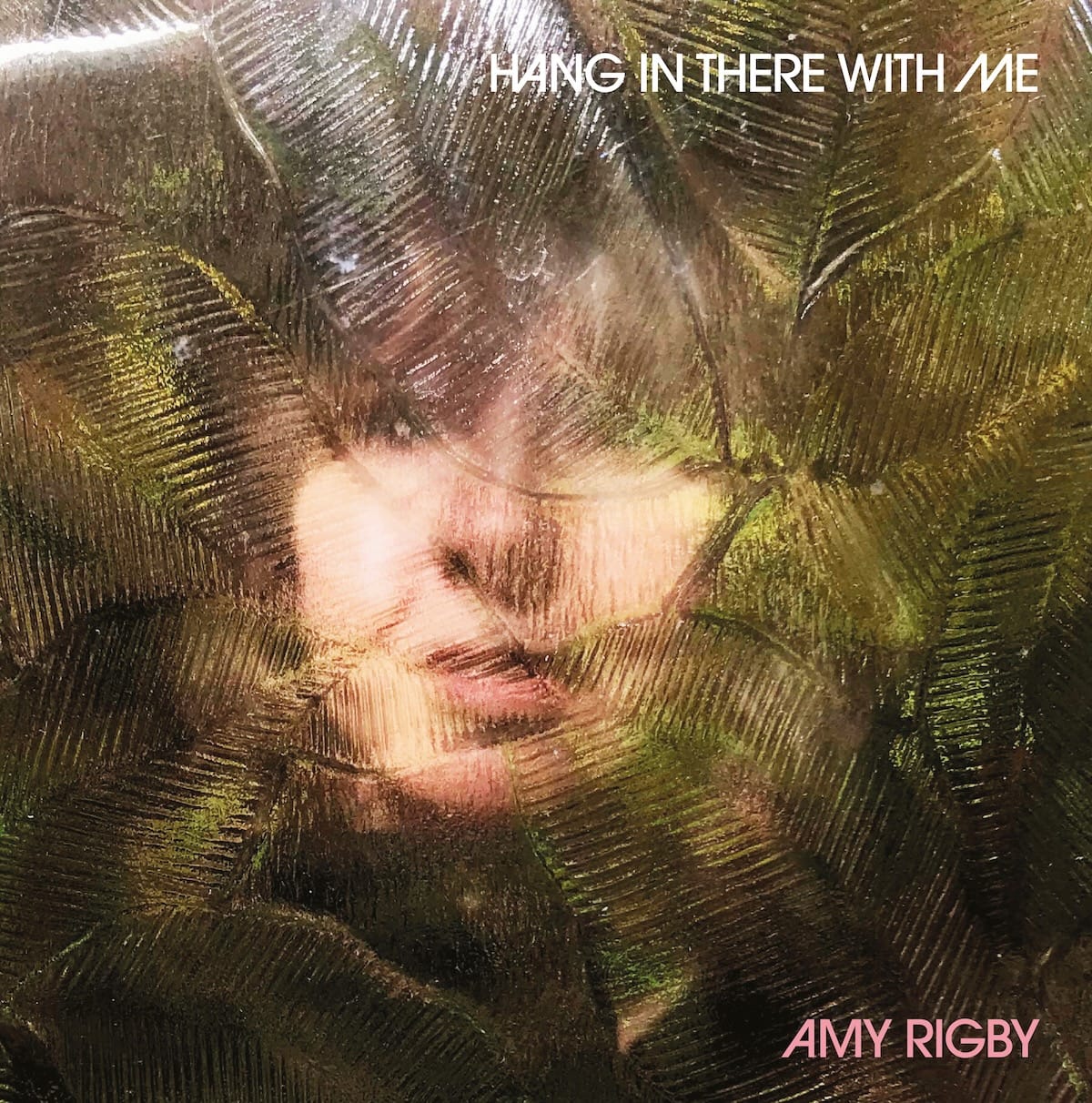 ALBUM REVIEW: Amy Rigby Carves Out Her Own Definition of Cool - No ...